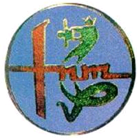 FNM Onça: o felino brasileiro em extinção - NIVELANDO A ENGENHARIA