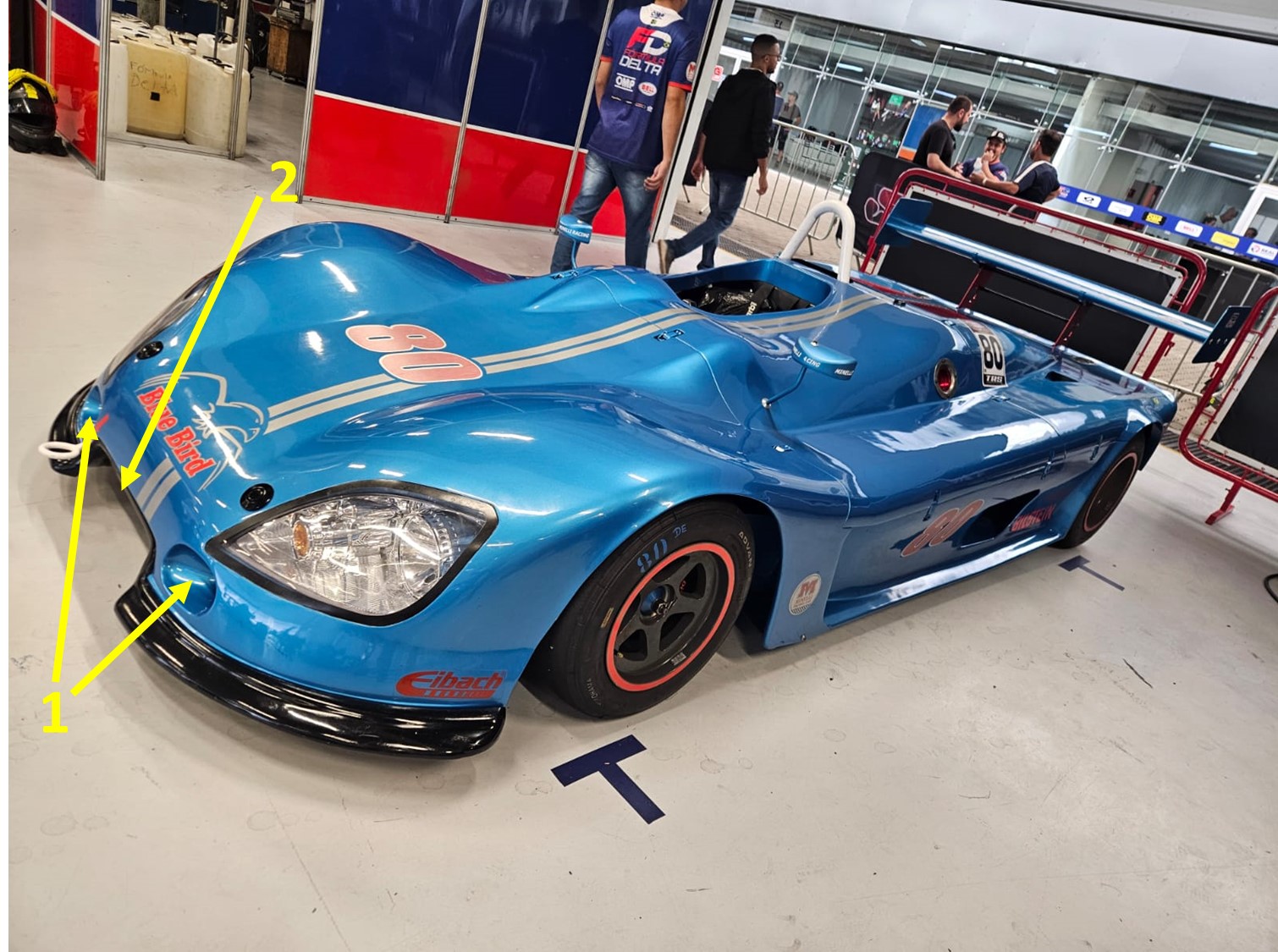 Minelli BlueBird - NIVELANDO A ENGENHARIA